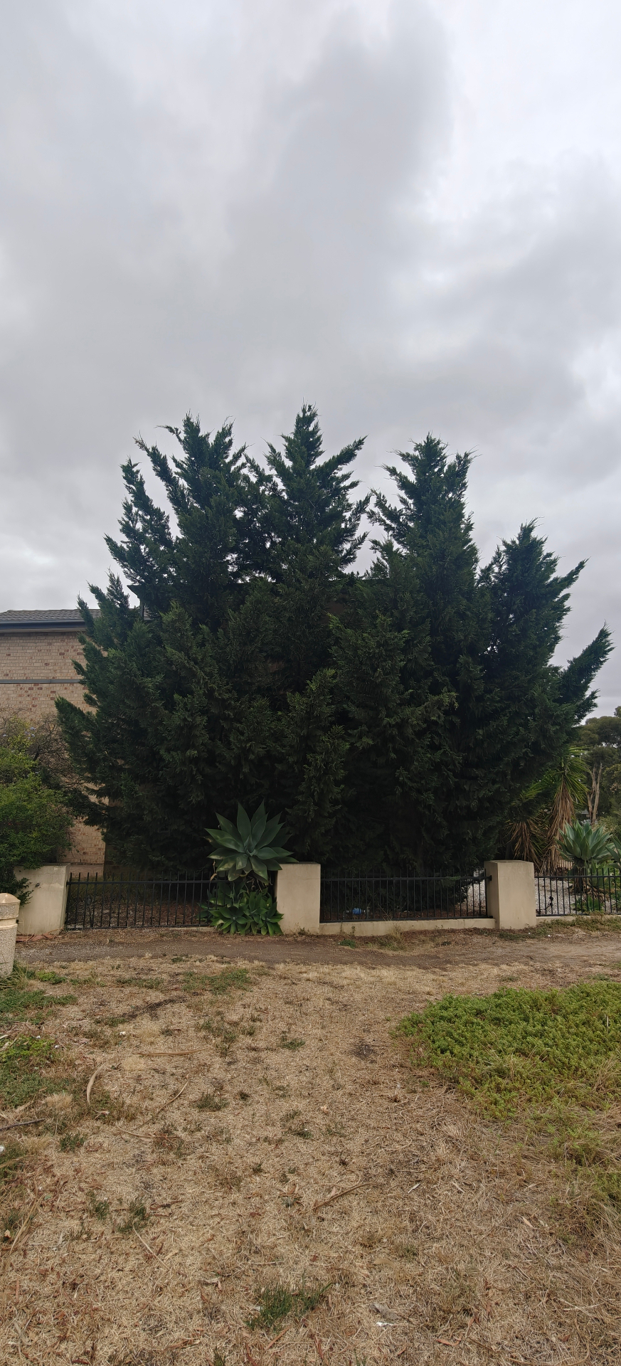 Autumn Leaf Tree Solutions | Melbourne Arborist Services | Tree Removal ...